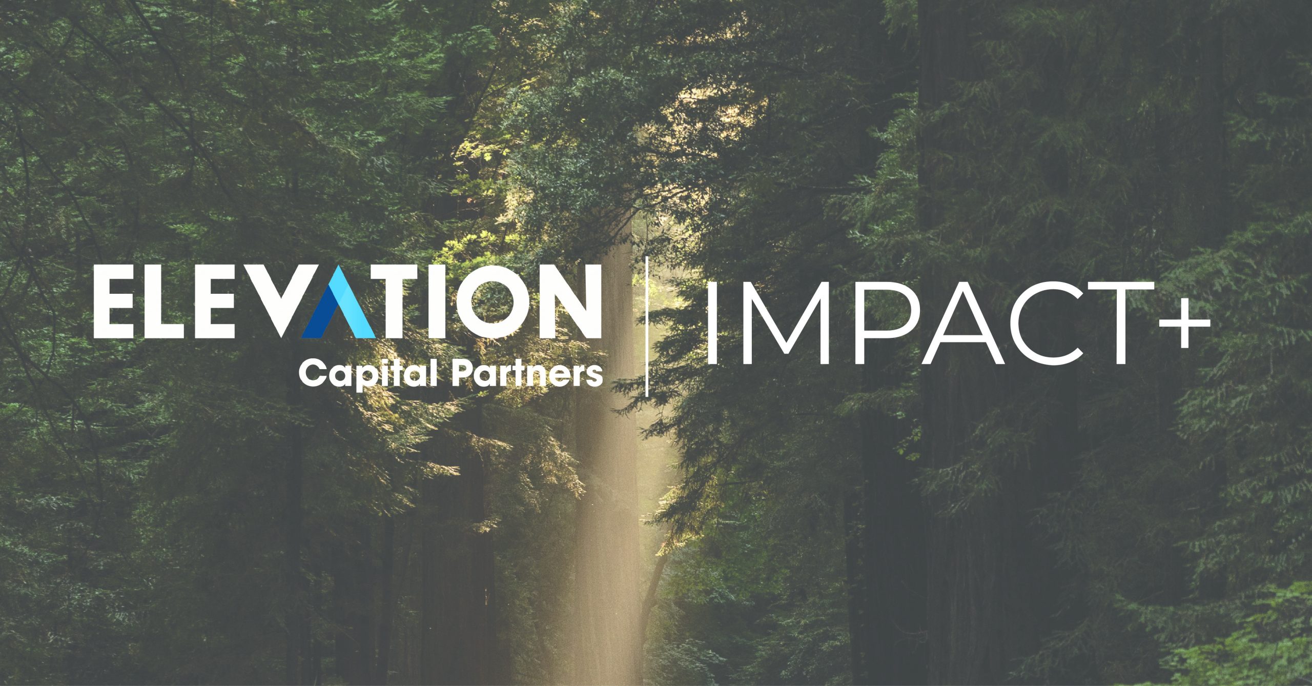 IMPACT+ Secures €2m (£1.7m) in Seed Funding Round to Drive Sustainability in Digital Advertising ...